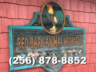 88.5 JFM - Marshall County's Nonprofit Contemporary Christian Radio